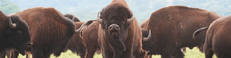 Oklahoma Chapter | HFMA